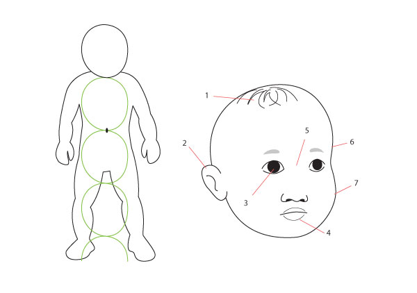 Human Anatomy Fundamentals: Drawing Different Ages | Envato Tuts+