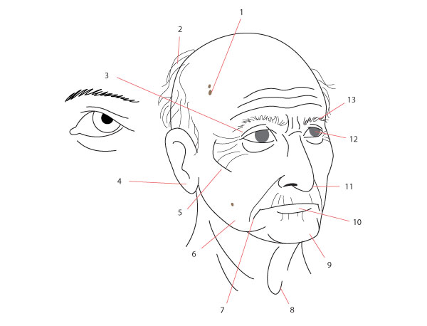 Human Anatomy Fundamentals: Drawing Different Ages | Envato Tuts+