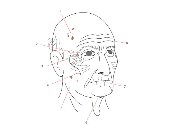 Human Anatomy Fundamentals: Drawing Different Ages | Envato Tuts+