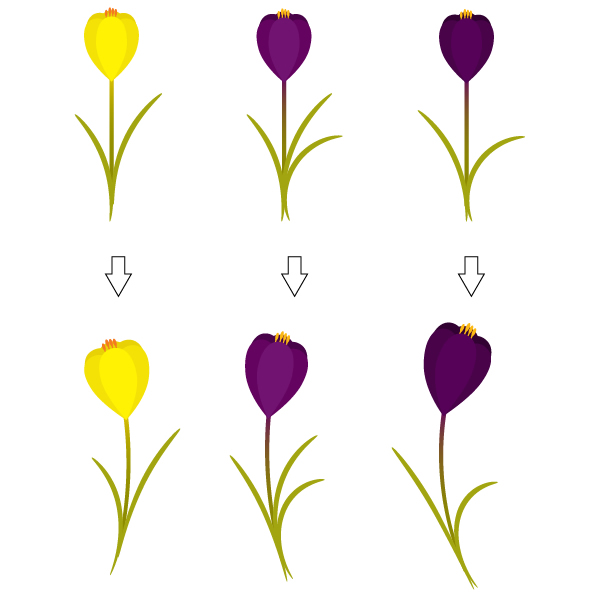 How to Create a Spring Floral Pattern in Adobe Illustrator | Envato Tuts+