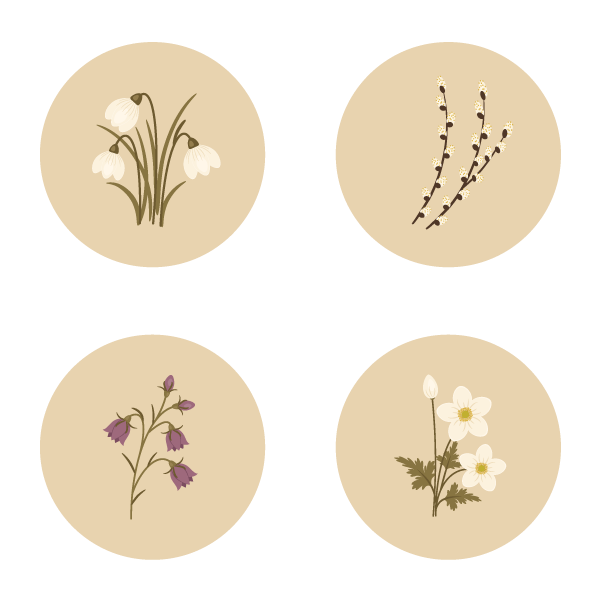 How to Create Spring Flowers From Basic Shapes in Adobe Illustrator ...