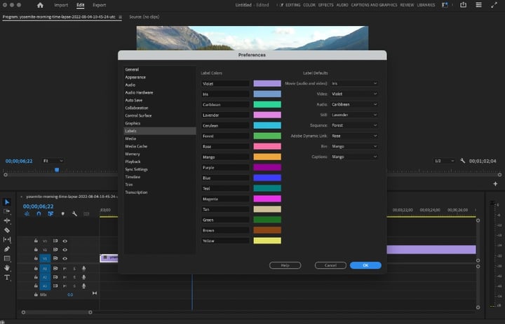 How to Label Clips in Premiere Pro (5 Quick Tips) | Envato Tuts+