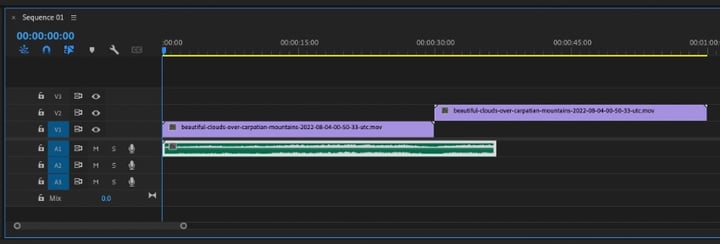 How to Duplicate Audio & Video Clips in Premiere Pro (Quickly Copy ...