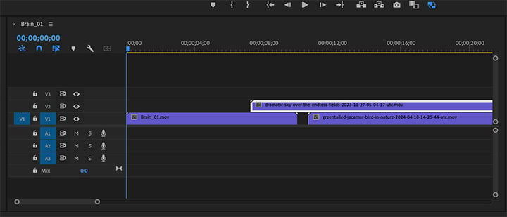 How to stay organized with clip colors in Premiere Pro | Envato Tuts+