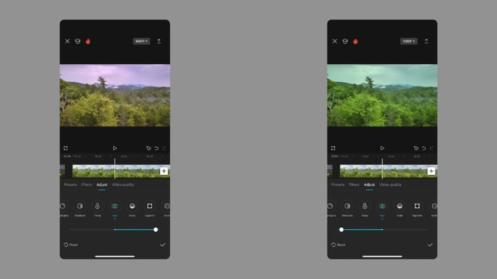 How to quickly change the hue in CapCut | Envato Tuts+