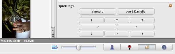 How to Add Keyword Tags to Your Photos with Picasa | Envato Tuts+
