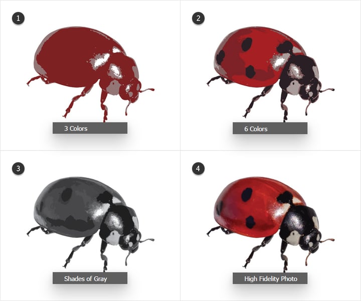 How to Vectorize an Image in Illustrator | Envato Tuts+