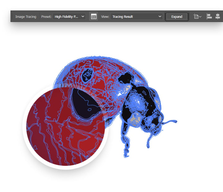 How to Vectorize an Image in Illustrator | Envato Tuts+