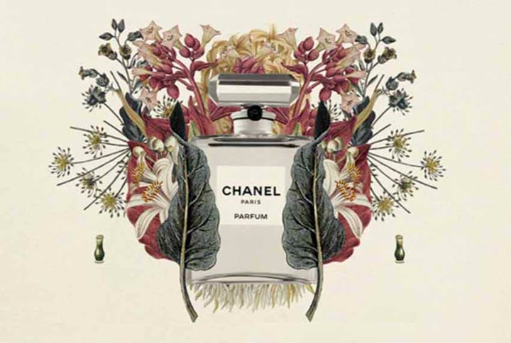 What Font Does Chanel Use? | Envato Tuts+