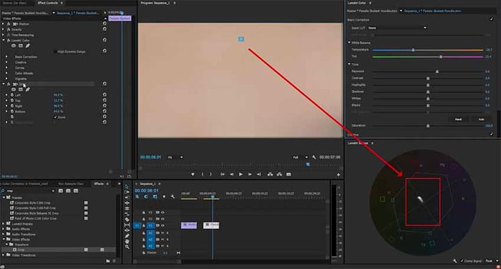 How to Color Balance a Video for Accurate Skin Tone Using Premiere Pro ...