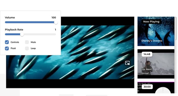 15 Best HTML5 and JavaScript Video Players (+5 Best Free Players ...