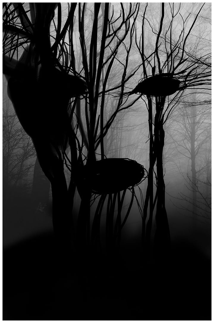 How to Create a Dark Double Exposure Effect in Affinity Photo | Envato ...