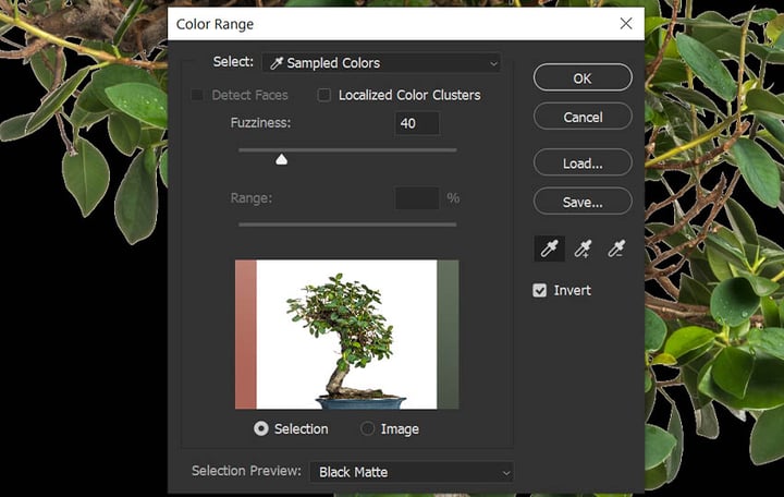 How to make the background transparent in Photoshop | Envato Tuts+