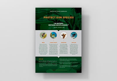 How to Make a Marketing Flyer Template in InDesign