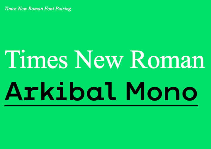 15 Best Fonts to Pair with Times New Roman | Envato Tuts+