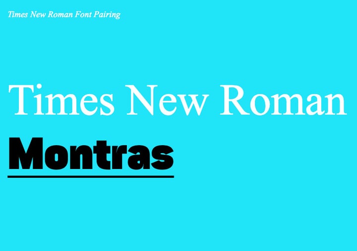 15 Best Fonts to Pair with Times New Roman | Envato Tuts+