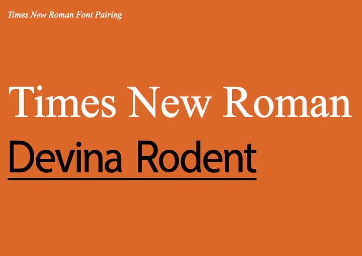 15 Best Fonts to Pair with Times New Roman | Envato Tuts+
