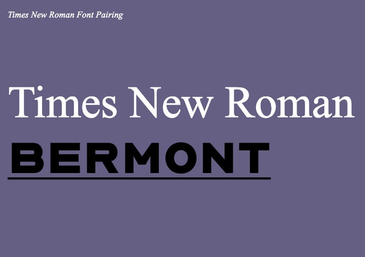 15 Best Fonts to Pair with Times New Roman | Envato Tuts+
