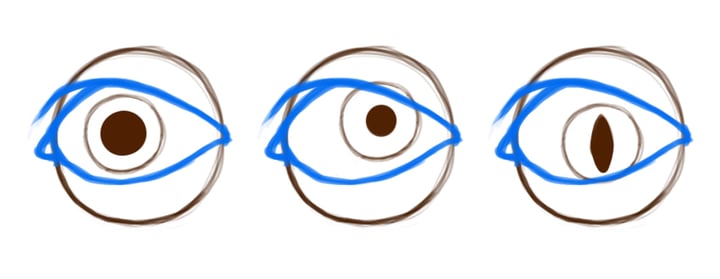 How to Draw Cartoon Eyes | Envato Tuts+