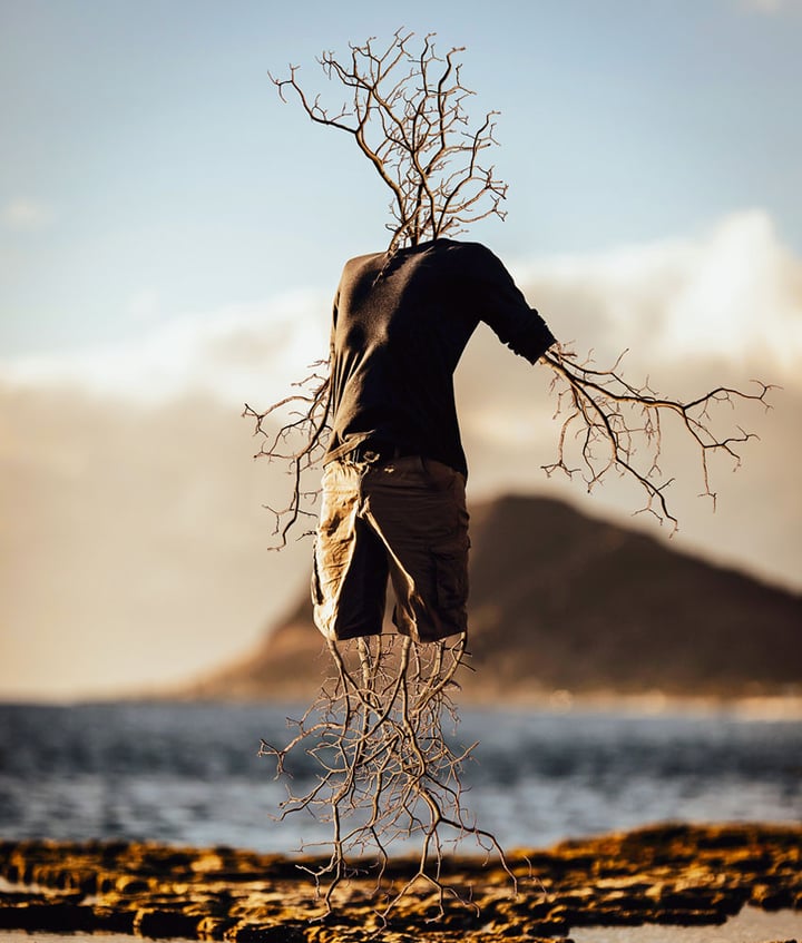 Exploring Photo Manipulation: Analysis and Interviews | Envato Tuts+