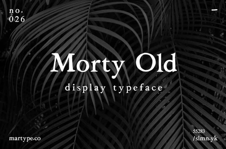 Los Distintos Tipos de Tipografías con Serifas con Ejemplos | Envato Tuts+