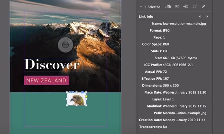 InDesign for Beginners - iDevie