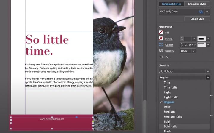 Adobe InDesign for Beginners | Envato Tuts+