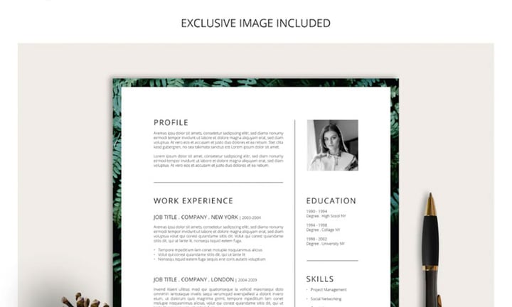 10+ Unique Resume CV Templates With Interesting (Creative) Resume Ideas ...