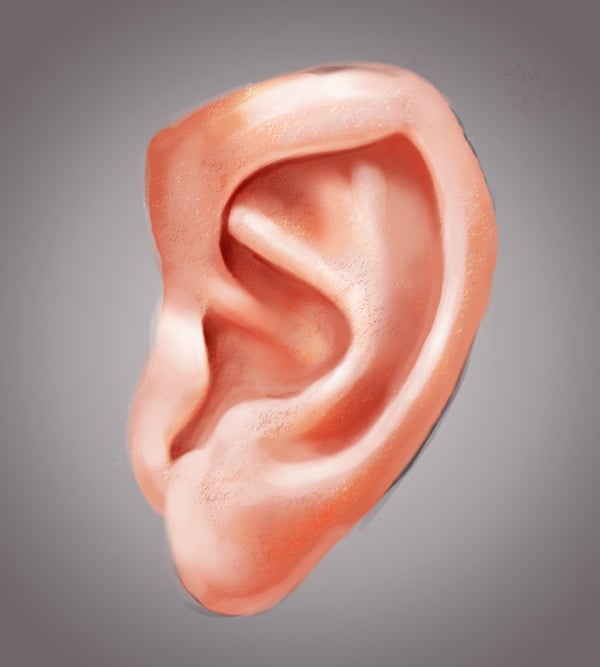 How to Paint a Realistic Ear in Adobe Photoshop | Envato Tuts+