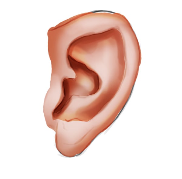 How to Paint a Realistic Ear in Adobe Photoshop | Envato Tuts+