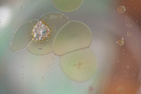 How to Make a Colourful Bubble Macro Photo with Oil and Water | Envato ...