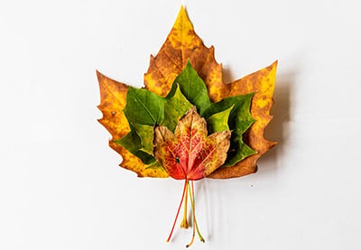 How to Create a Gradient in Affinity Photo | Envato Tuts+