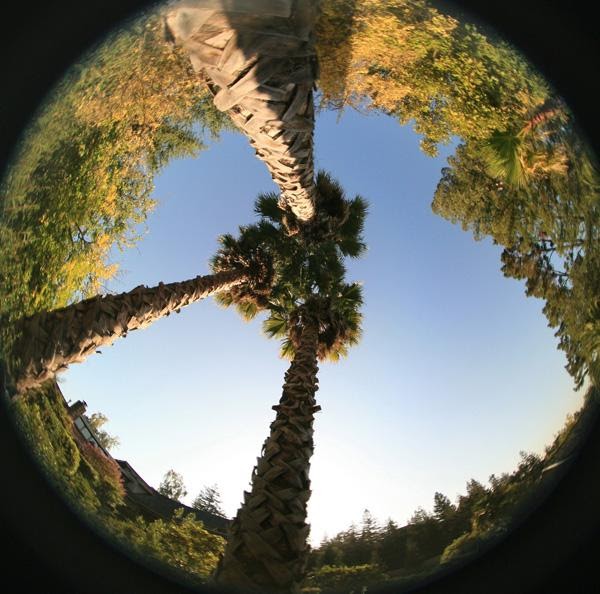 40 Fantastic Photos Taken With a Fisheye Lens | Envato Tuts+