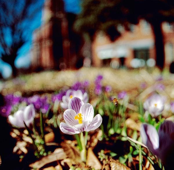 40 Fantastic Photos Taken With a Fisheye Lens | Envato Tuts+