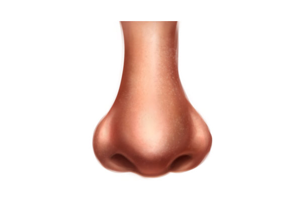Learn How to Paint a Realistic Nose in Adobe Photoshop | Envato Tuts+