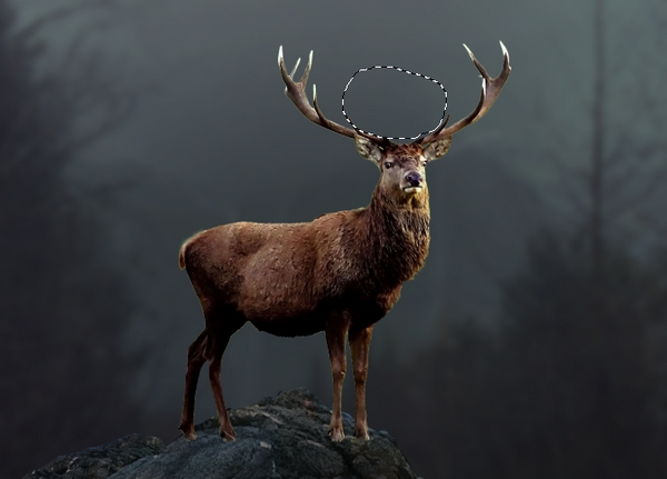 How to Create a Fantasy Flaming Deer With Adobe Photoshop | Envato Tuts+