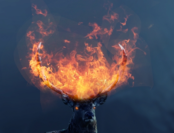 How to Create a Fantasy Flaming Deer With Adobe Photoshop | Envato Tuts+