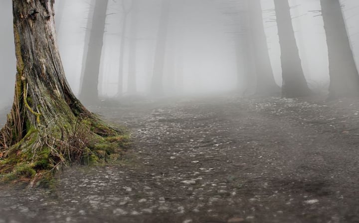 How to Create a Mysterious Forest Scene With Adobe Photoshop | Envato Tuts+