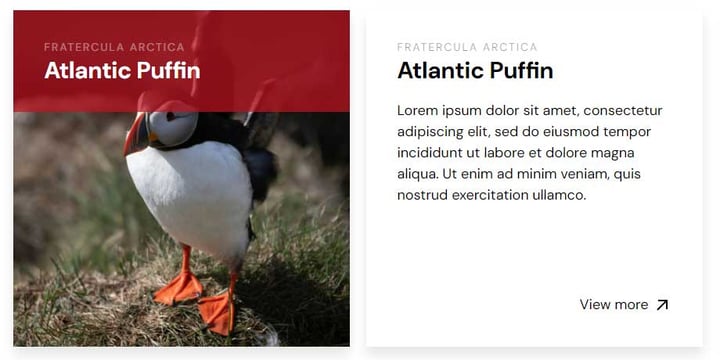 Create a sliding cards UI with HTML & CSS | Envato Tuts+
