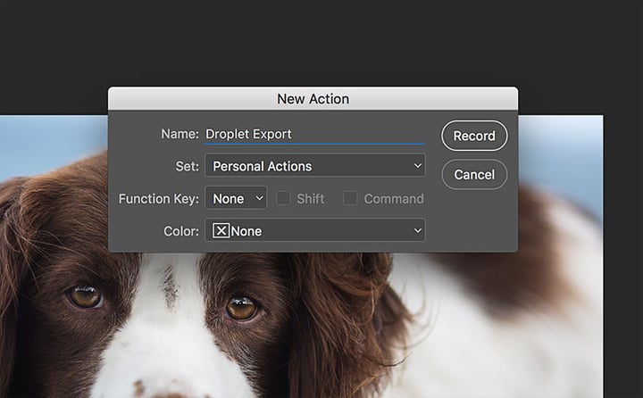 How to Use Droplets in Your Photography Workflow | Envato Tuts+