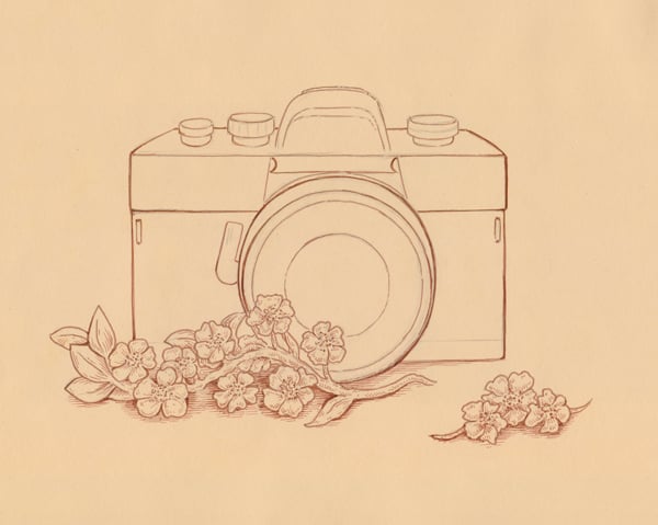 How to Draw a Vintage Camera With Sepia Ink Liners on Toned Paper ...