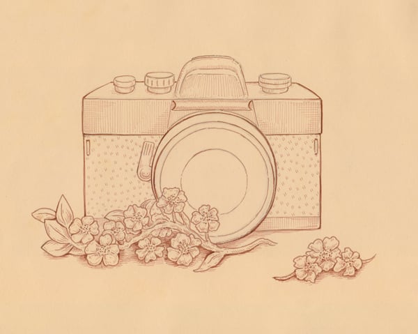 How to Draw a Vintage Camera With Sepia Ink Liners on Toned Paper ...