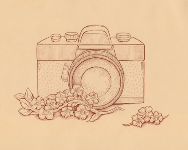 How to Draw a Vintage Camera With Sepia Ink Liners on Toned Paper ...