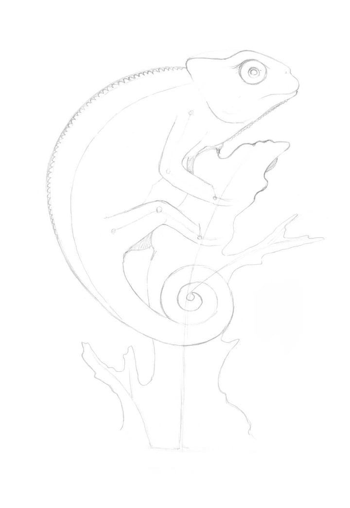 How to Draw a Lizard With Ink Liners | Envato Tuts+