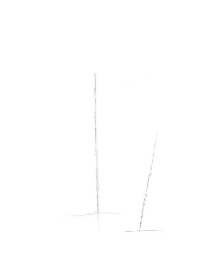 Cómo Dibujar Una Seta | Envato Tuts+