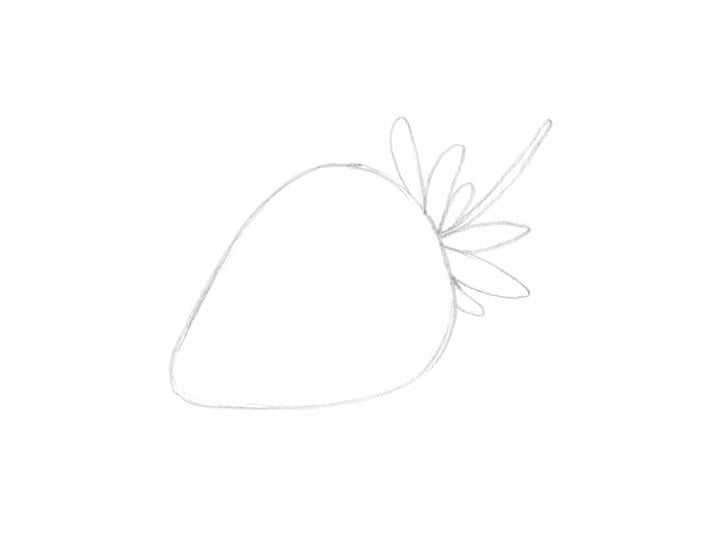 How to Draw 10 Different Varieties of Berry | Envato Tuts+
