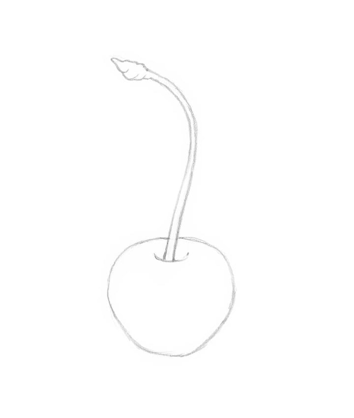 How to Draw 10 Different Varieties of Berry | Envato Tuts+