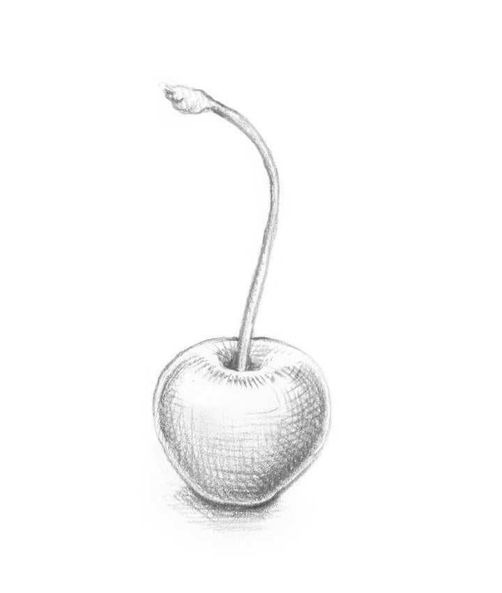 How to Draw 10 Different Varieties of Berry | Envato Tuts+