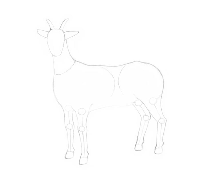 How to Draw a Goat Step by Step | Envato Tuts+