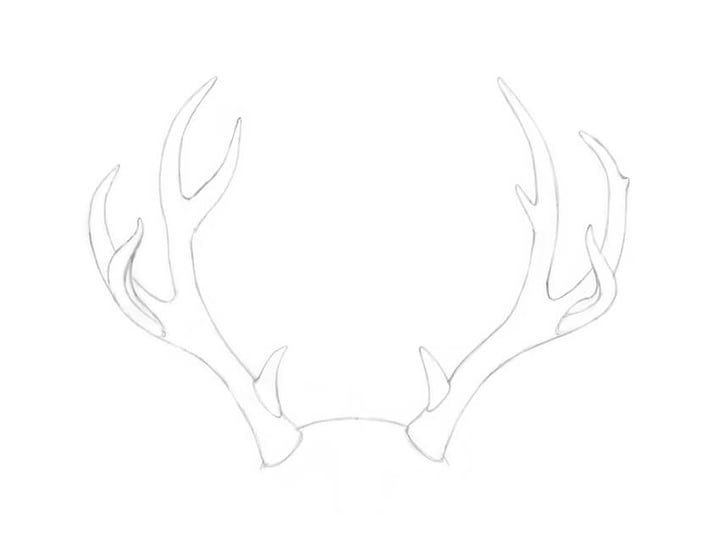 How to Draw Deer Antlers Step by Step | Envato Tuts+